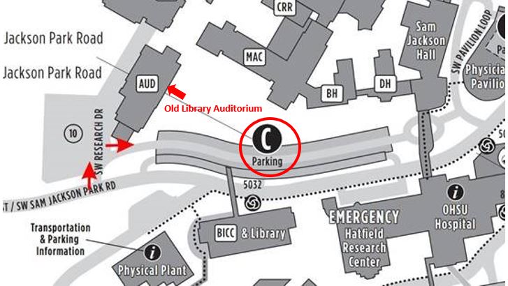 Gained in Translation | Casey Eye Institute | OHSU